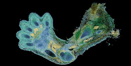 First Complete Map of Human Skeleton Formation Could Transform Bone ...