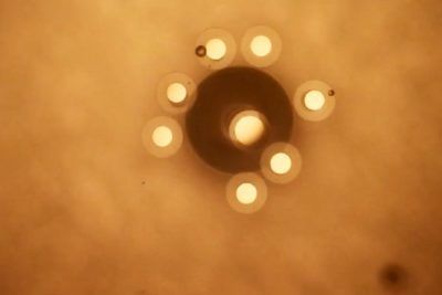 Tiny Particles Work Collectively To Generate Complex Behavior