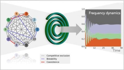 Understanding Species Coexistence Through Mathematics