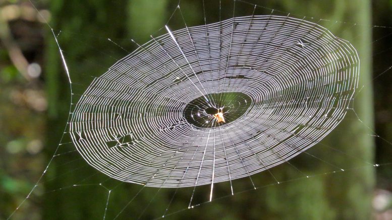 Science News - Page 13 of 174 - SciTechDaily