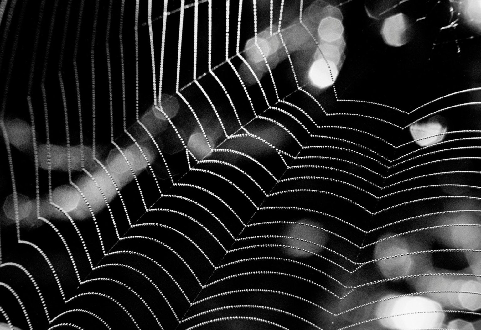 The Future of Sustainable Clothing – New Breakthrough in Synthetic ...