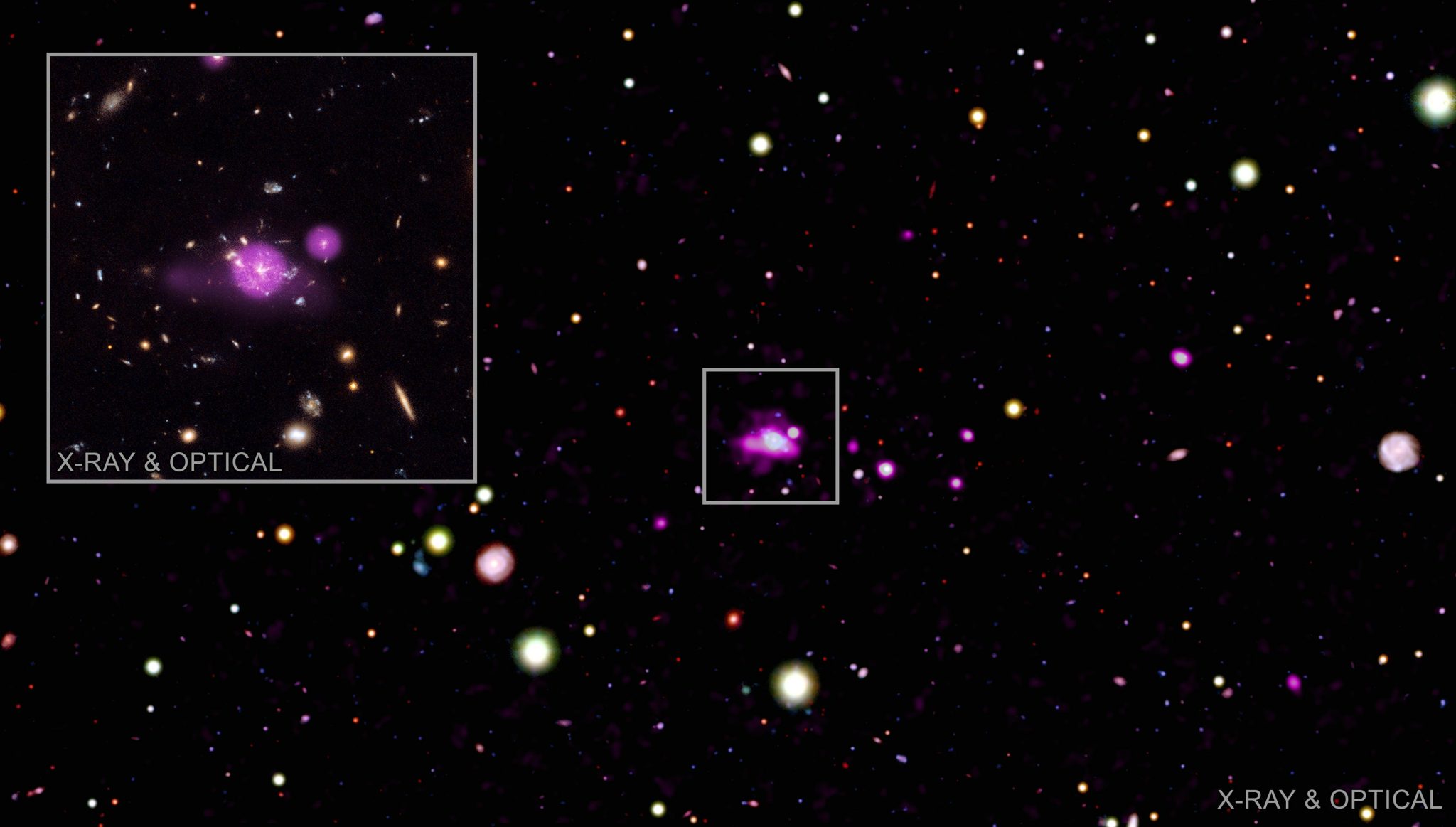 Feasting Black Holes Caught in Galactic Spiderweb