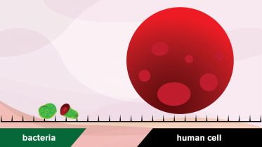 Improved Silver Coating for Medical Devices Kills Bacteria To Prevent ...