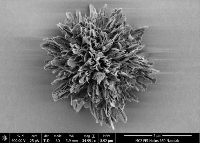 World’s Most Complex Microparticle Ever Made – Synthetic That Surpasses ...