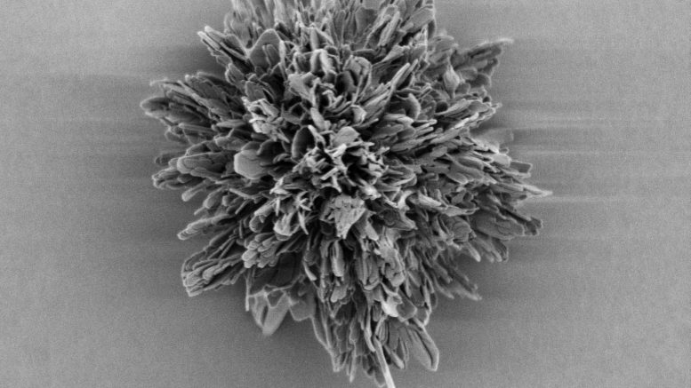 Mystifying Trapping Phenomenon: A Surprising Way To Catch a Microparticle