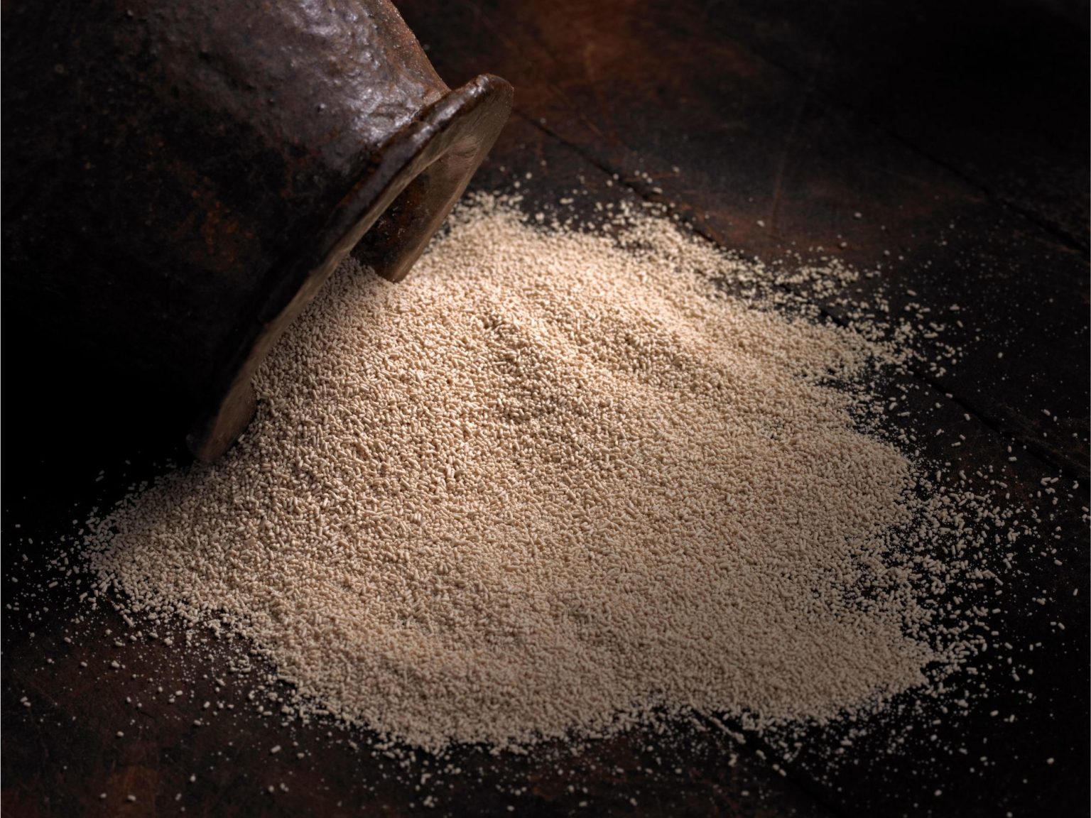 Yeast Is a Competitive Killer – Scientists Discover a New Venomous ...