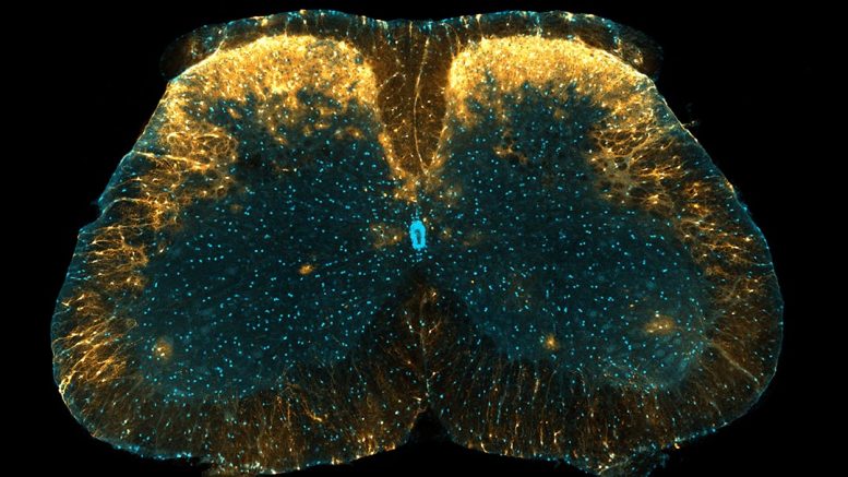 Challenging Established Beliefs: Harvard Research Uncovers Surprising ...