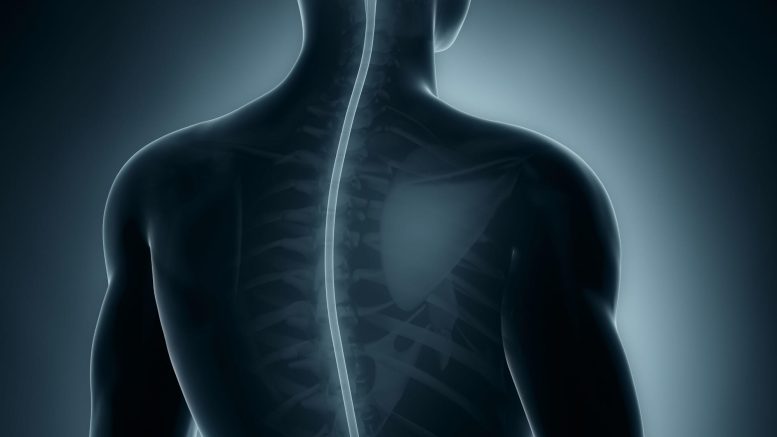 Challenging Established Beliefs: Harvard Research Uncovers Surprising ...