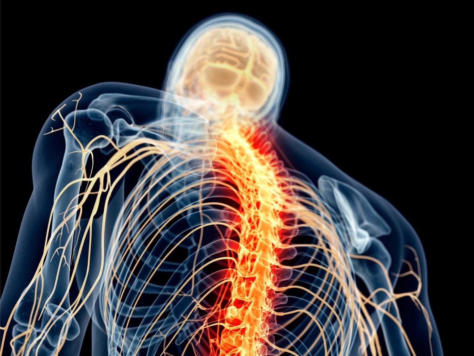 Beyond Ibuprofen: Scientists Find Way To Stop Pain Without Stopping Healing