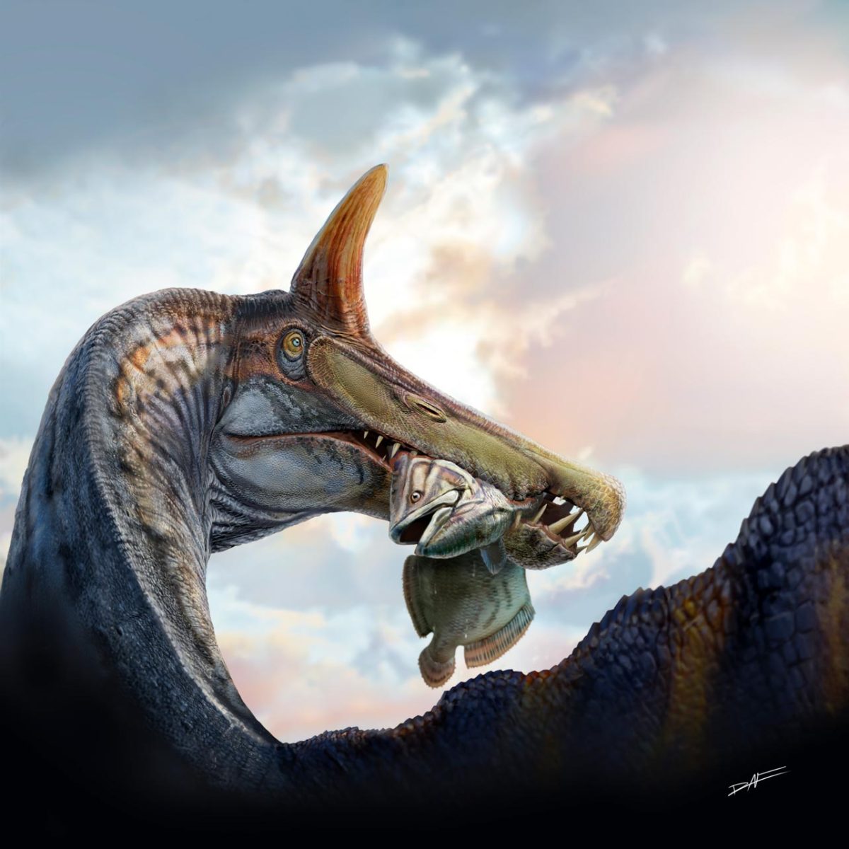 New “Hell Heron” Spinosaurus Discovered in the Sahara With Giant Blade ...