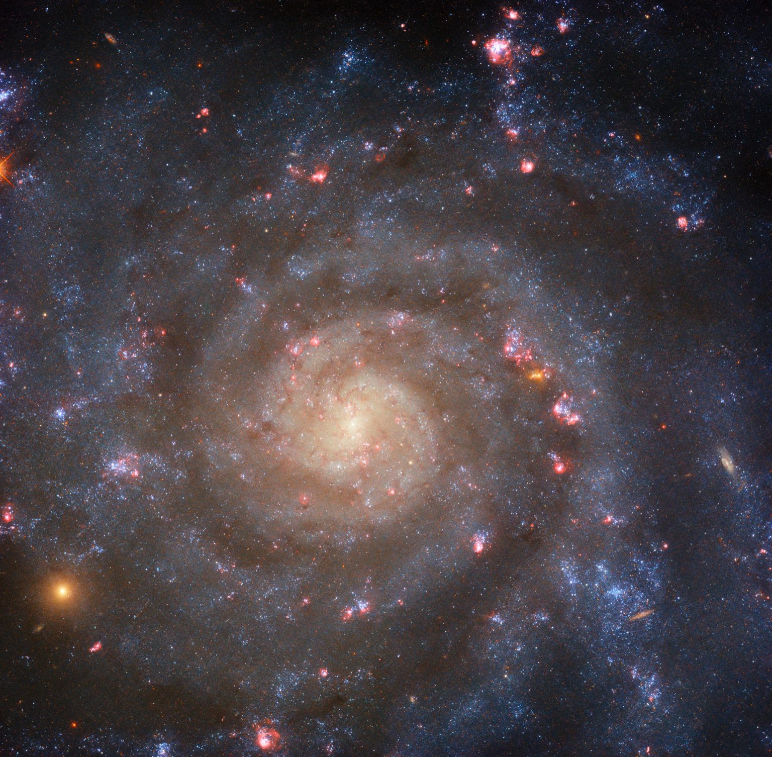 From Face-On to Edge-On: The Spiral Story of a Stunning Galaxy