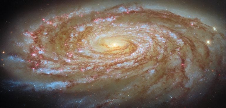 Hubble Captures a Stunning Spiral Galaxy Slowly Being Stripped of Its ...