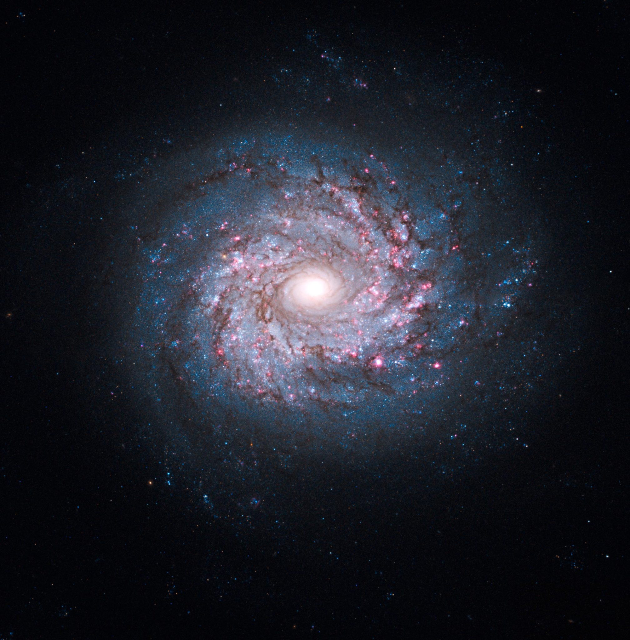 From Face-On to Edge-On: The Spiral Story of a Stunning Galaxy