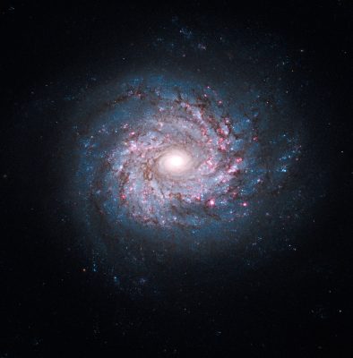 From Face-On to Edge-On: The Spiral Story of a Stunning Galaxy