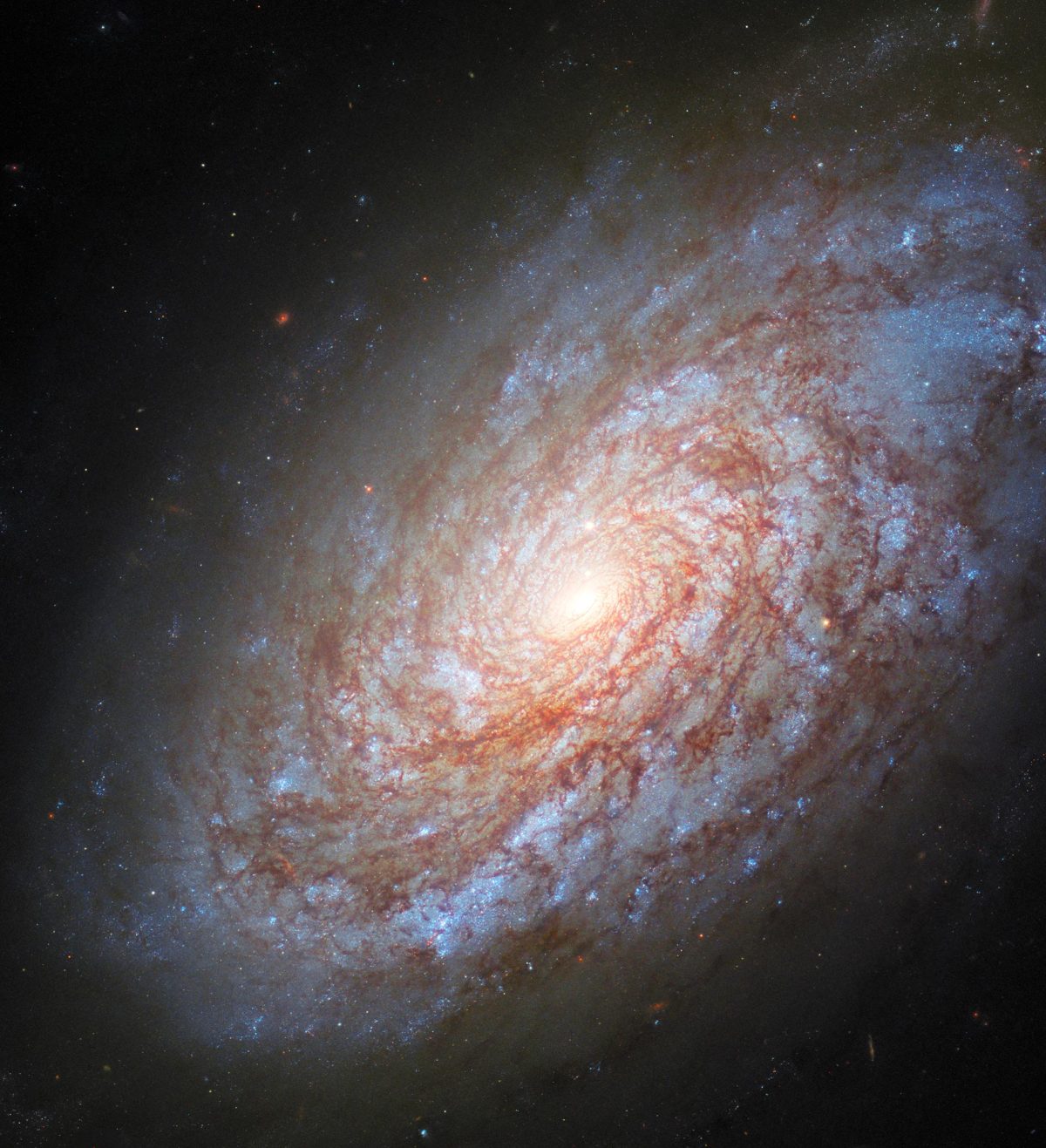 The Galactic Beacon Illuminating the Universe’s Age