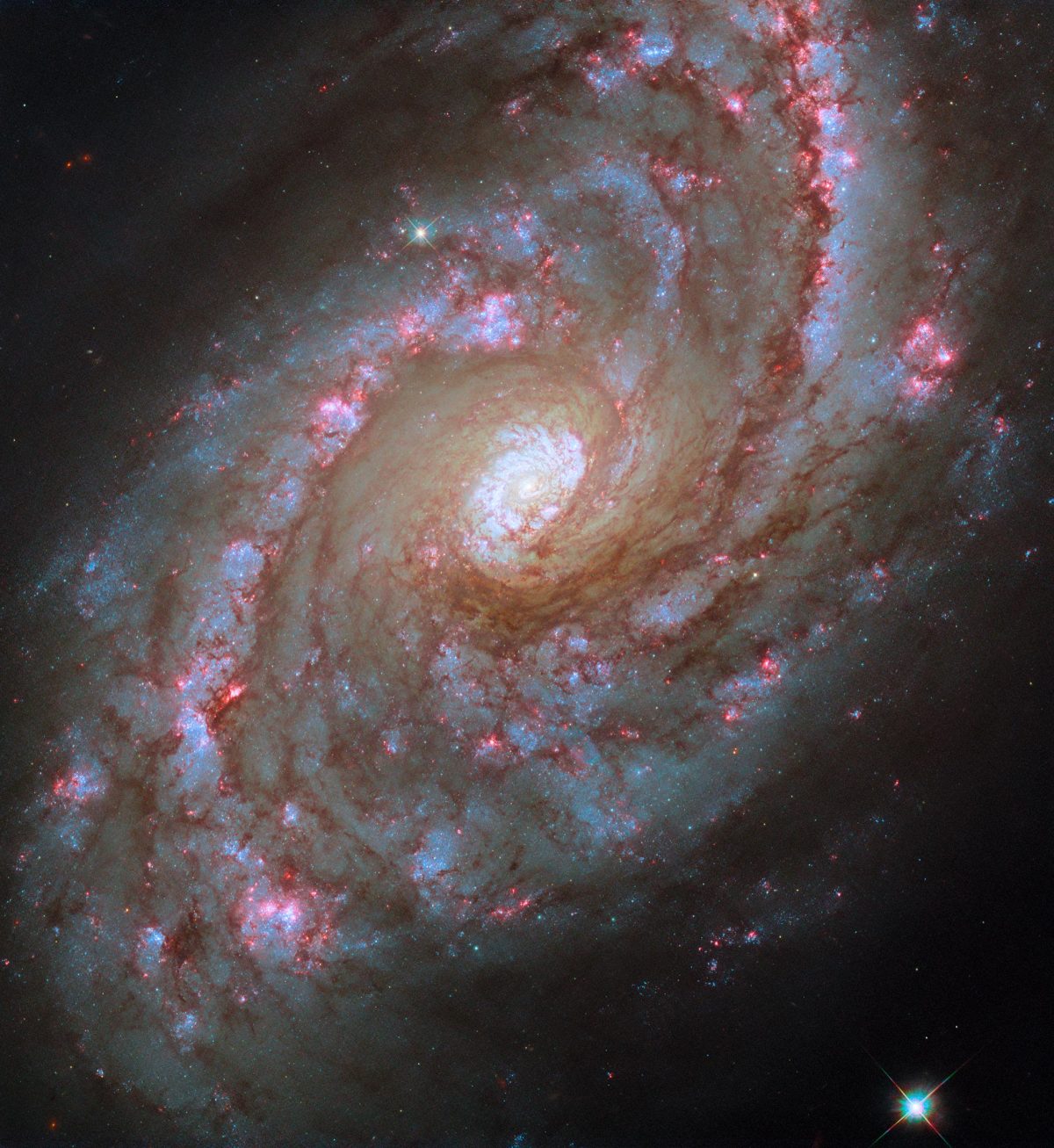 Hubble Unveils a Galactic Masterpiece of Starbursts and Spirals