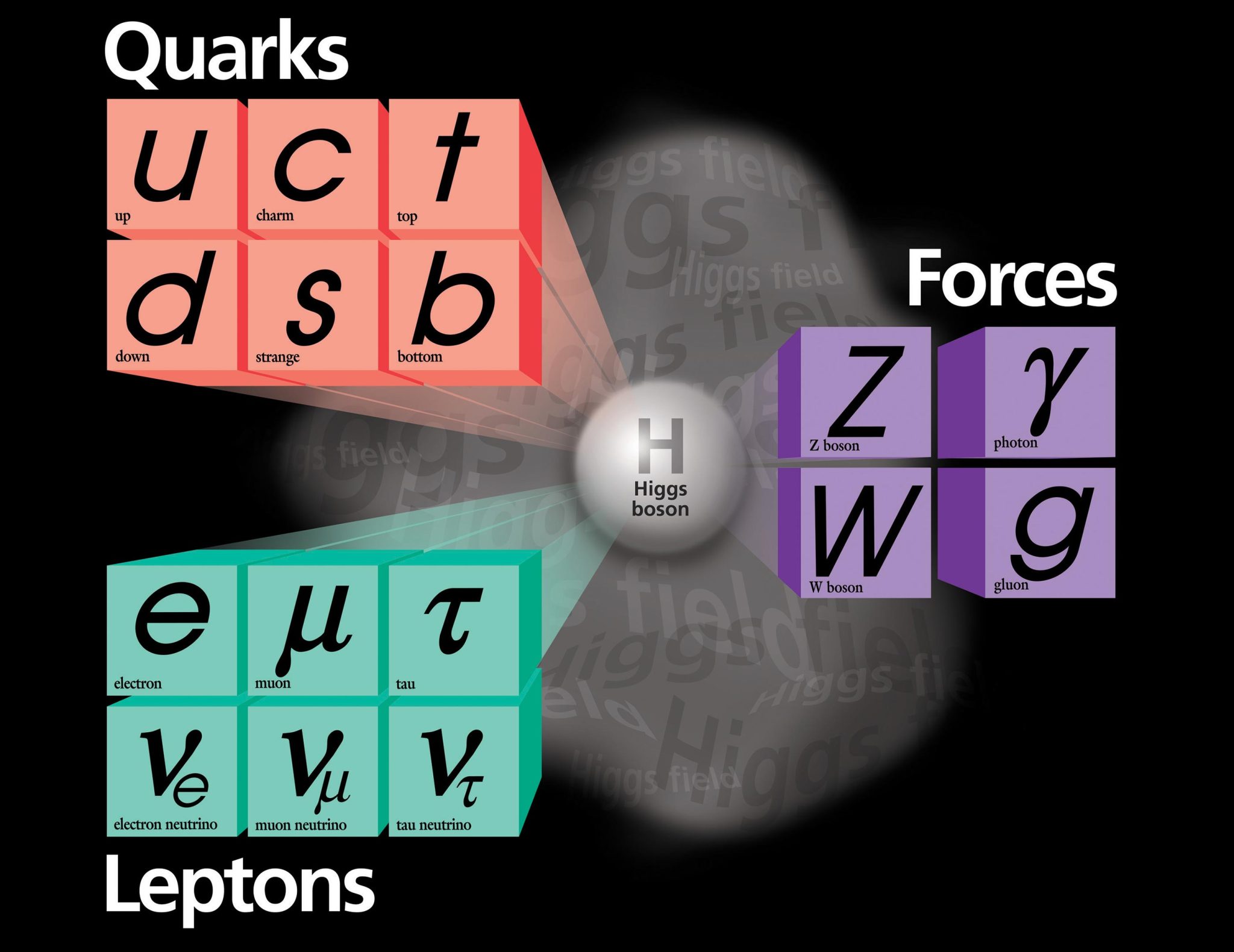 Standard Model of Particle Physics: The Absolutely Amazing Theory of ...