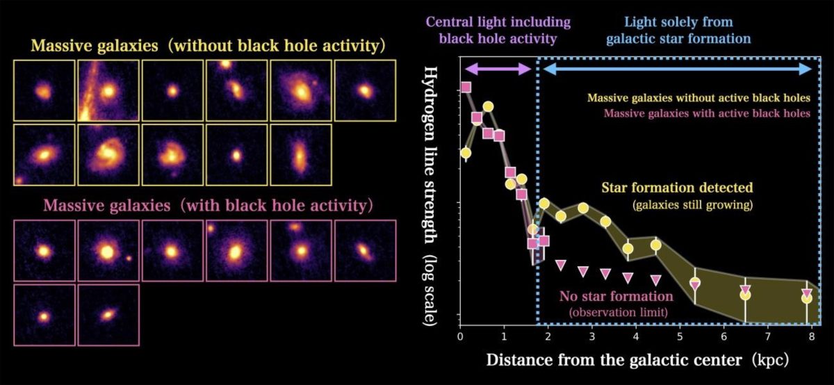 James Webb Reveals How Supermassive Black Holes Sculpt the Universe’s ...