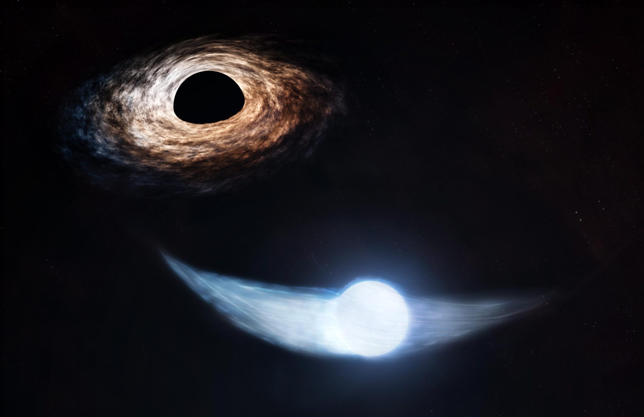 Will This Star Survive Another Round With a Black Hole?