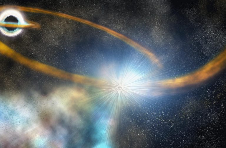 Supermassive Black Hole Rips Apart a Star in Rare Tidal Disruption Event