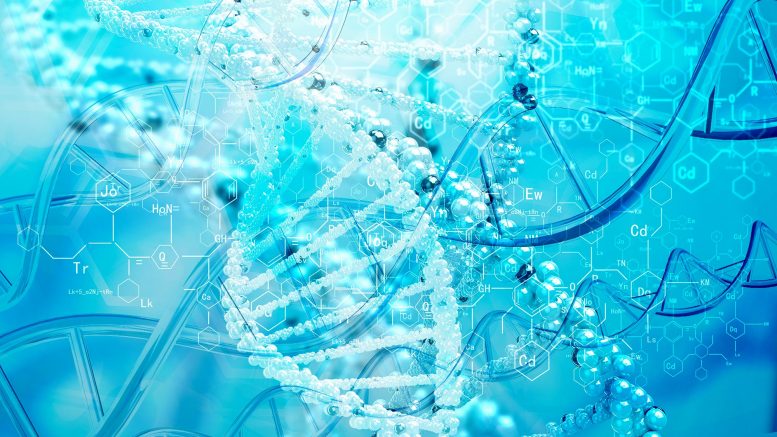 Reversing the Clock – How Exercise Can Mimic the Effects of Youthful Cells