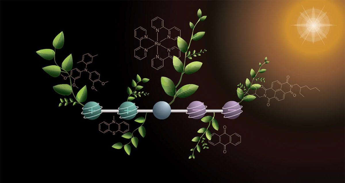This Plant-Inspired Molecule Could Be the Key to Artificial Photosynthesis