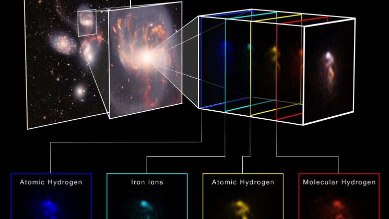 Hubble Image of the Week - Irregular Galaxy NGC 2337