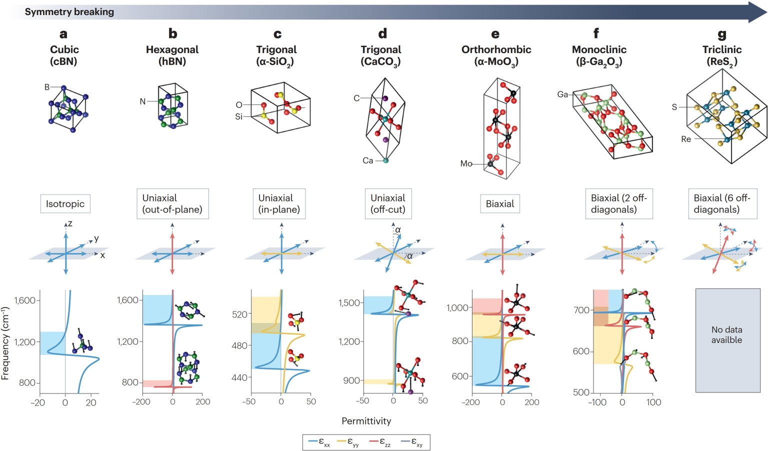 Light-Matter Magic Explained: Broken Symmetry Drives Polaritons