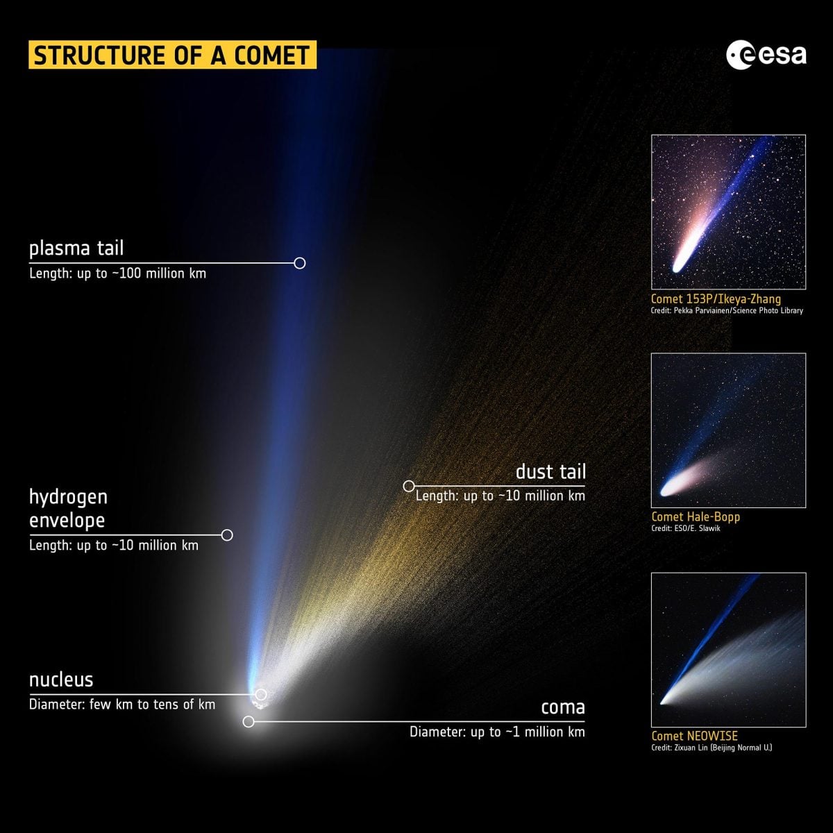 Astronomy & Astrophysics 101: Structure of a Comet