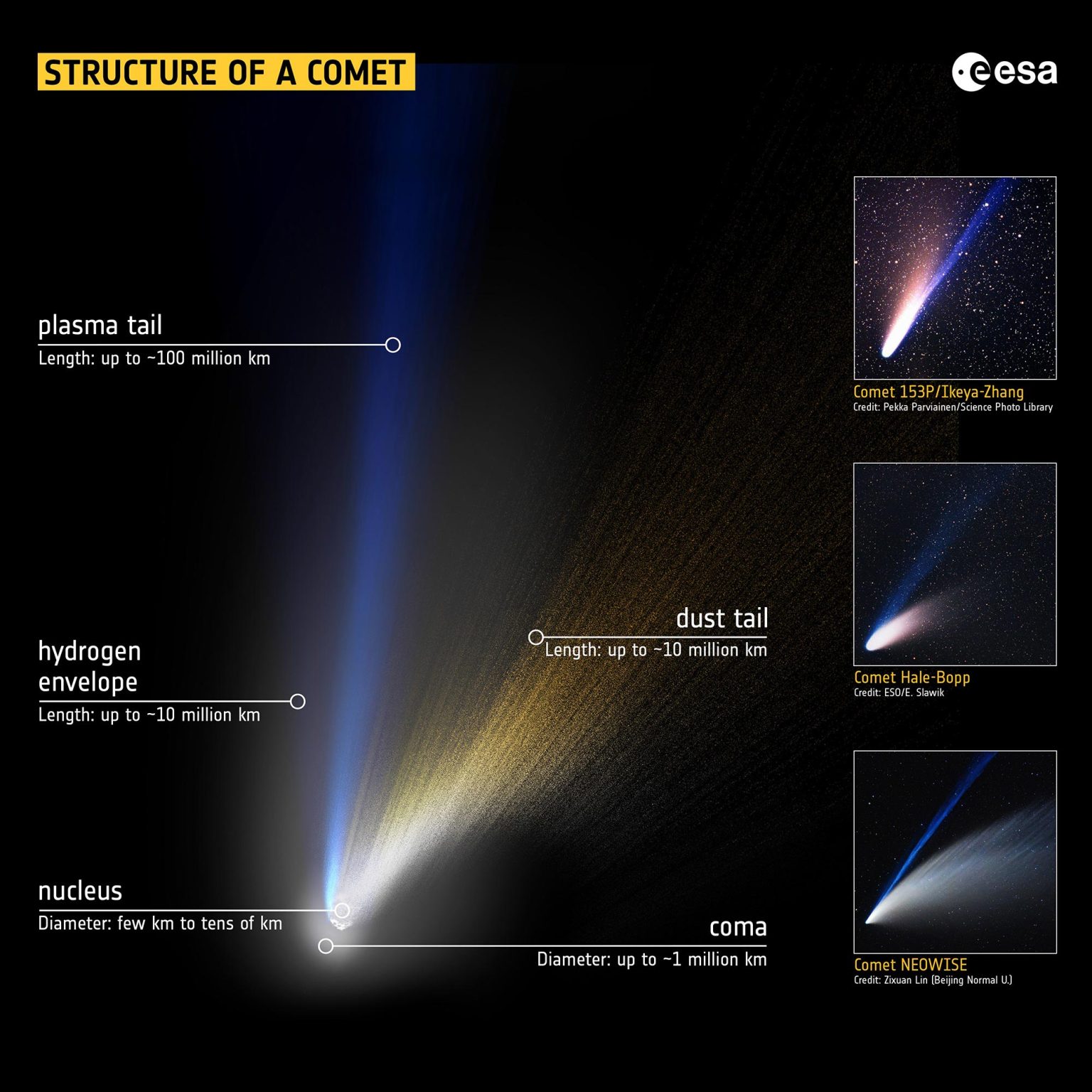 Astronomy & Astrophysics 101: Structure of a Comet