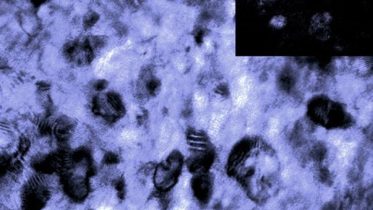 3D-Printed High-Performance Titanium-Copper Alloys for Medical Devices ...