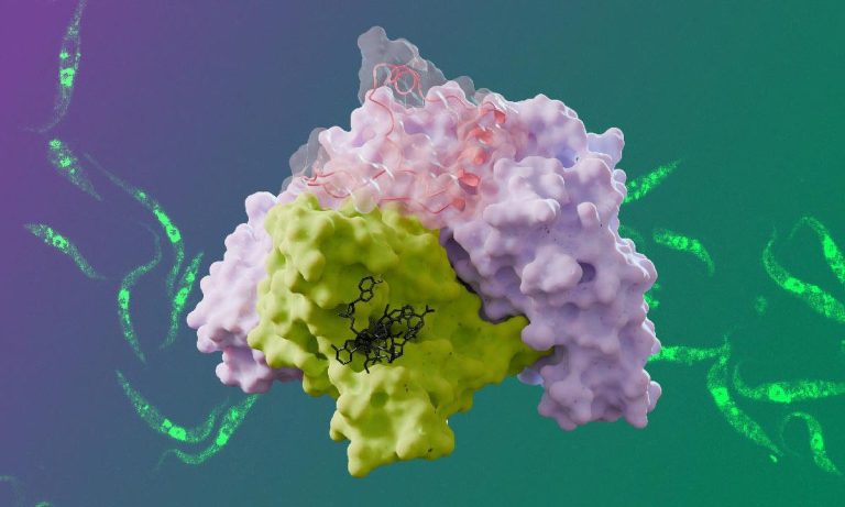 Scientists Expose Structural Secrets of Trypanosome Parasites