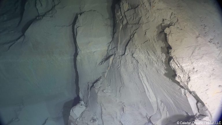 The Earth Moved Here: Scientists Discover Direct Evidence of Megaquake ...