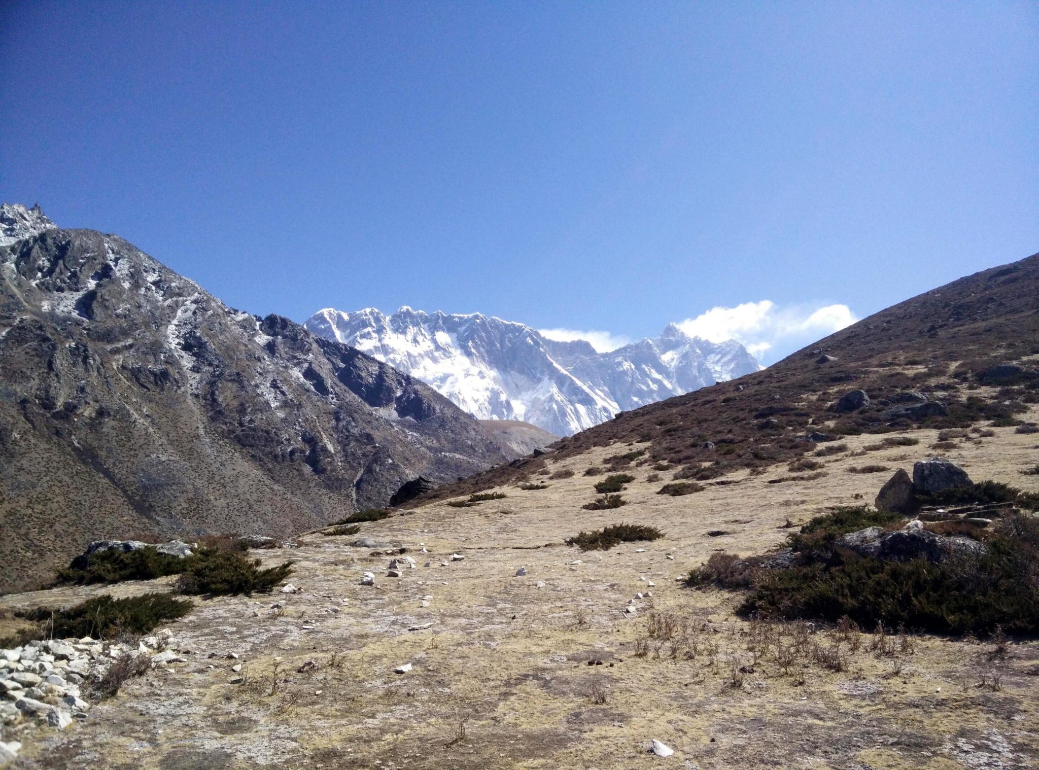Plant Life Expanding Around Mount Everest and Across the Himalayan Region