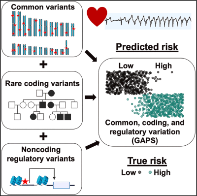 Genetic Breakthrough Reveals Hidden Heart Risks Early