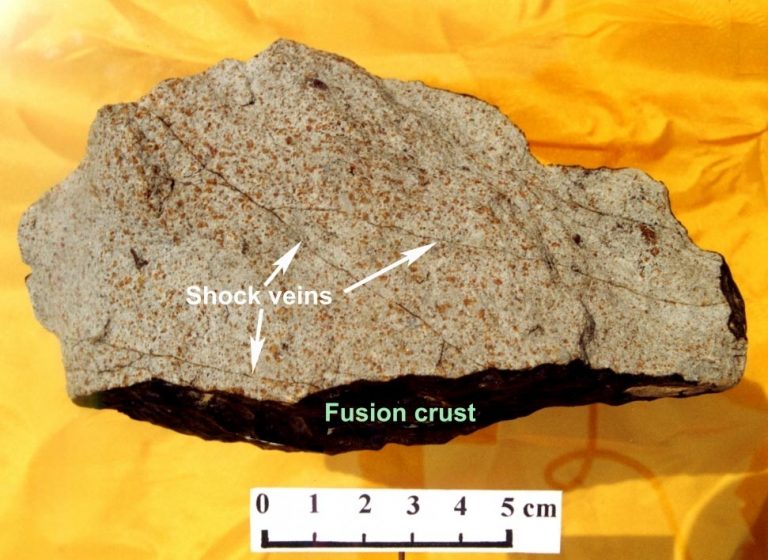 Extraterrestrial Clues to Earth’s Lower Mantle From Shocked Meteorites