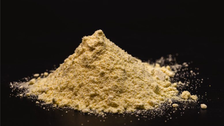 Science News & Research Discoveries - SciTechDaily