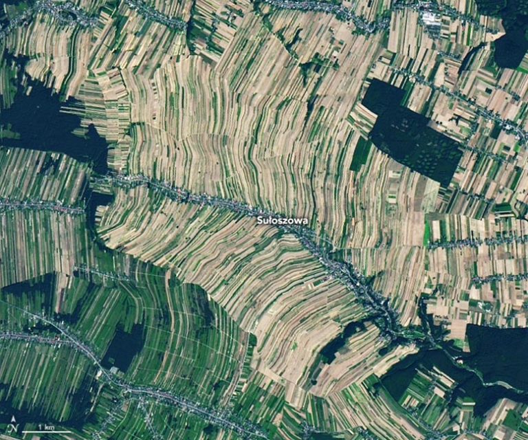The Hidden Logic Behind Poland’s Stunningly Striped Fields