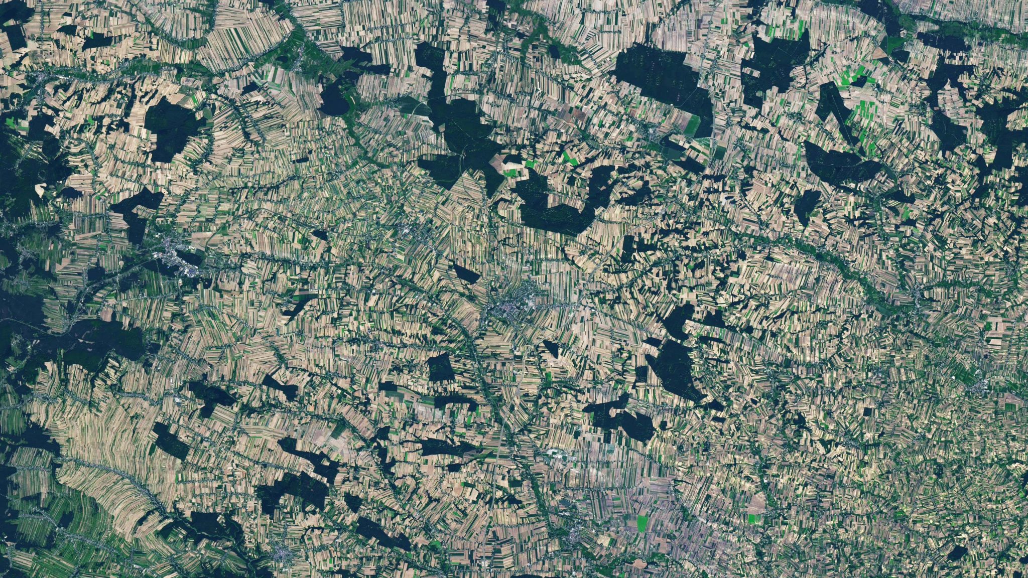 The Hidden Logic Behind Poland’s Stunningly Striped Fields