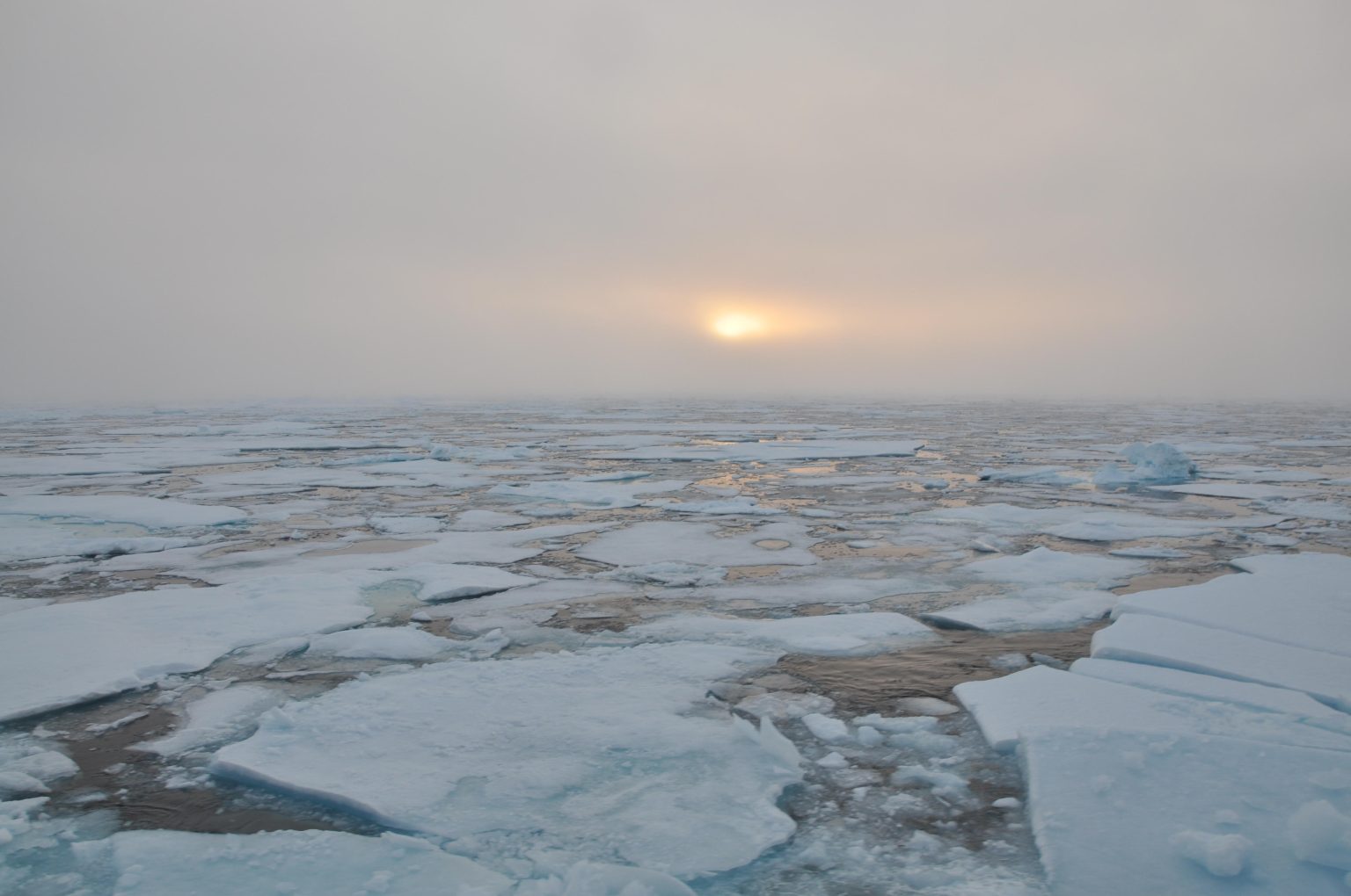 First Evidence of the Beaufort Gyre’s Stabilization: A Precursor to a ...