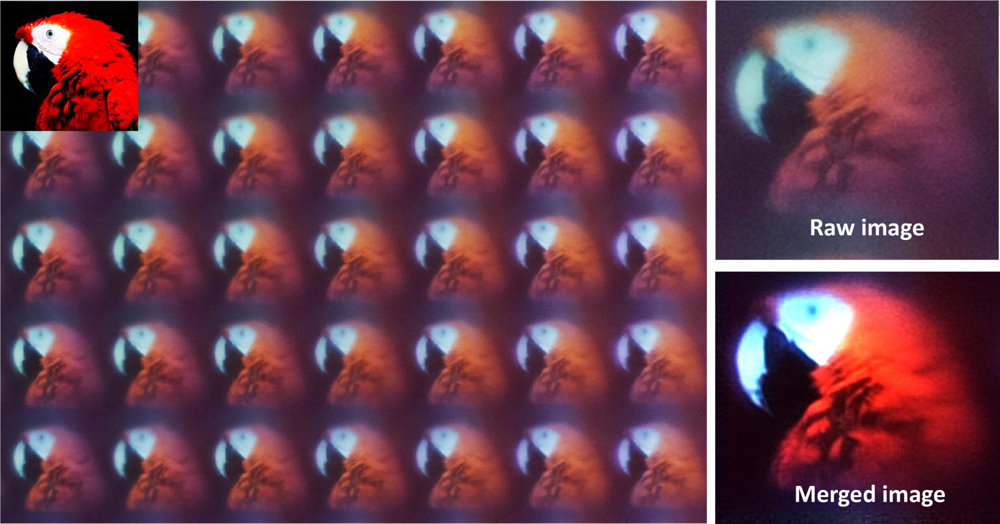 Biologically Inspired Ultrathin Arrayed Camera Captures Super ...