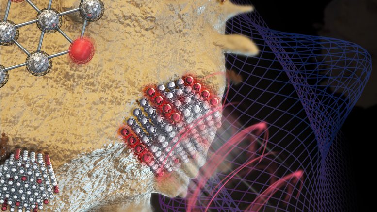 Biomedical Engineering News - SciTechDaily