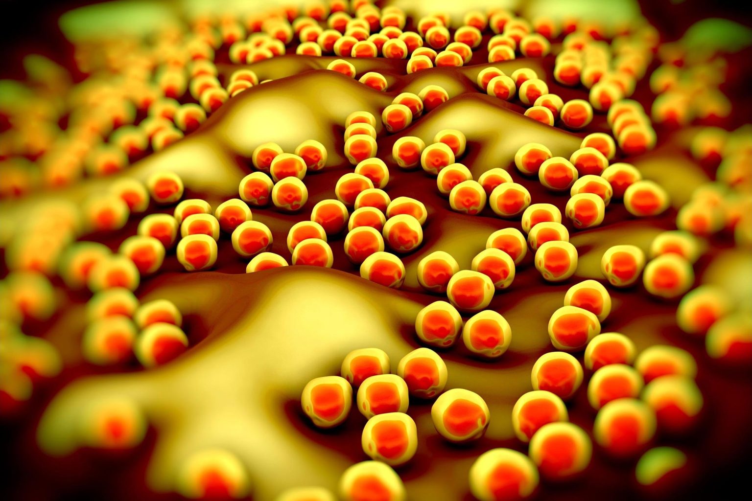 New Compound Discovered That Destroys the MRSA Superbug