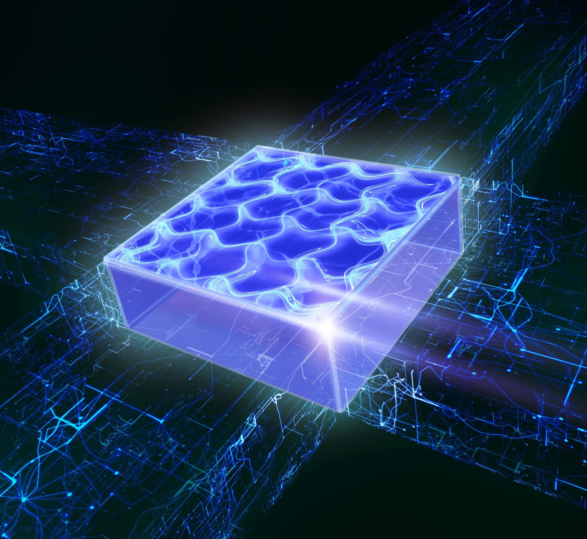 Supersolid Quantum Gases in a New Dimension