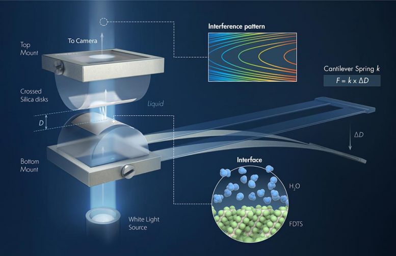 Quantum Destabilization of a Water Sandwich – Laws of Classical Physics ...