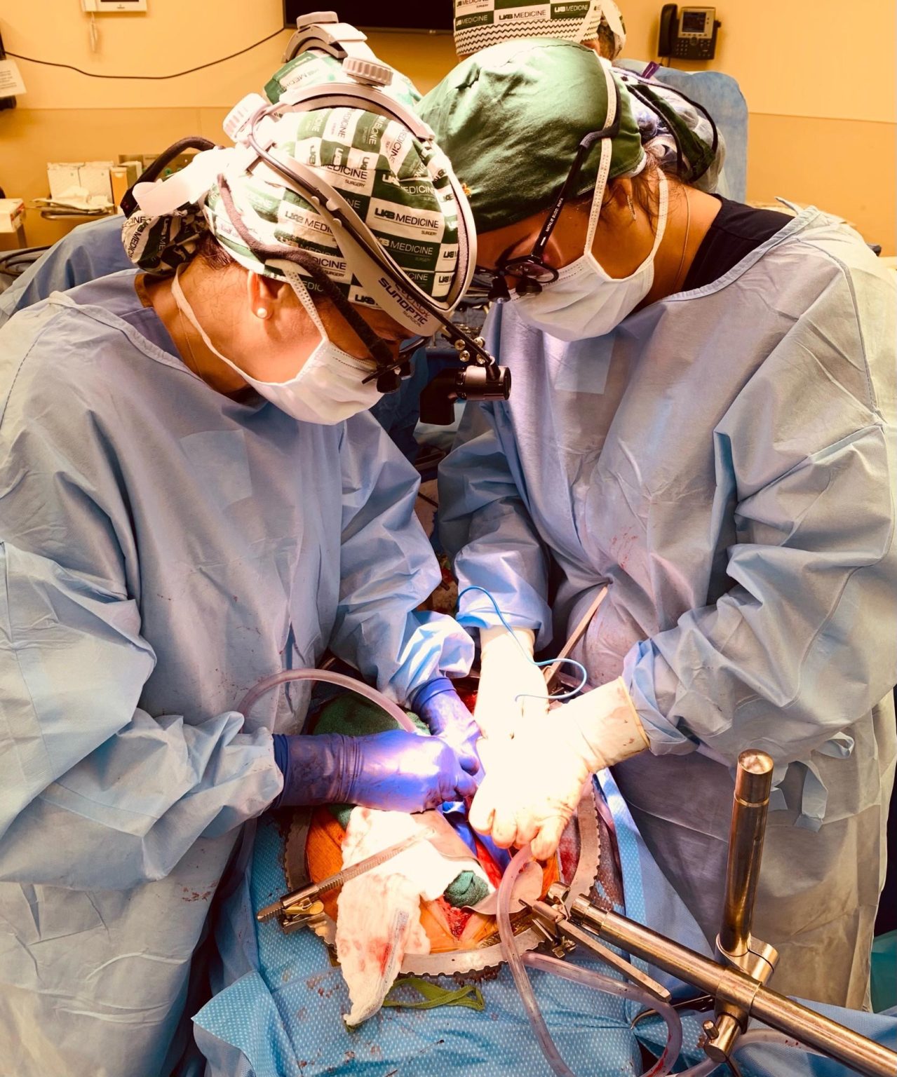 Scientists Successfully Transplant Two Kidneys From a Genetically ...