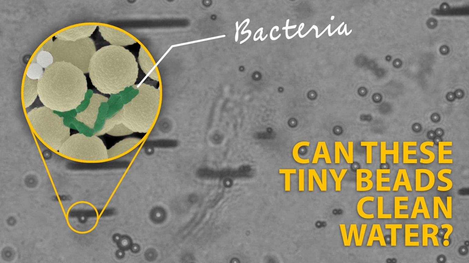 Microrobots Swarm the Seas, Capturing Microplastics and Bacteria [Video]