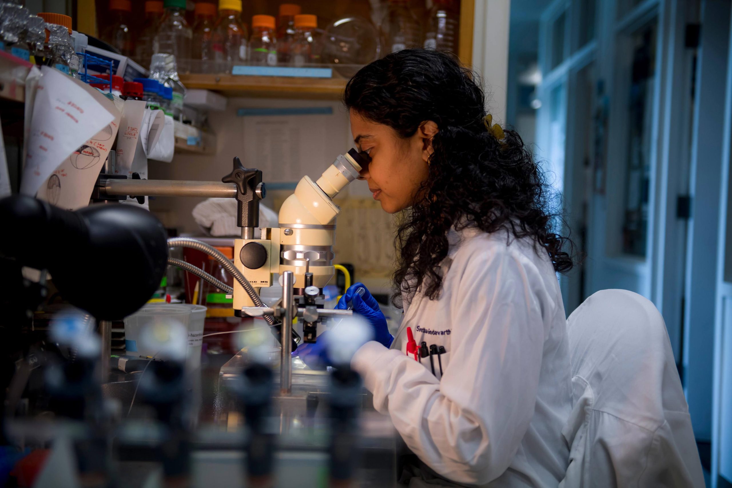 New Research Suggests a Possible Prevention Path for Autism