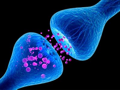 Autism’s Hidden Brain Differences Discovered in Living People