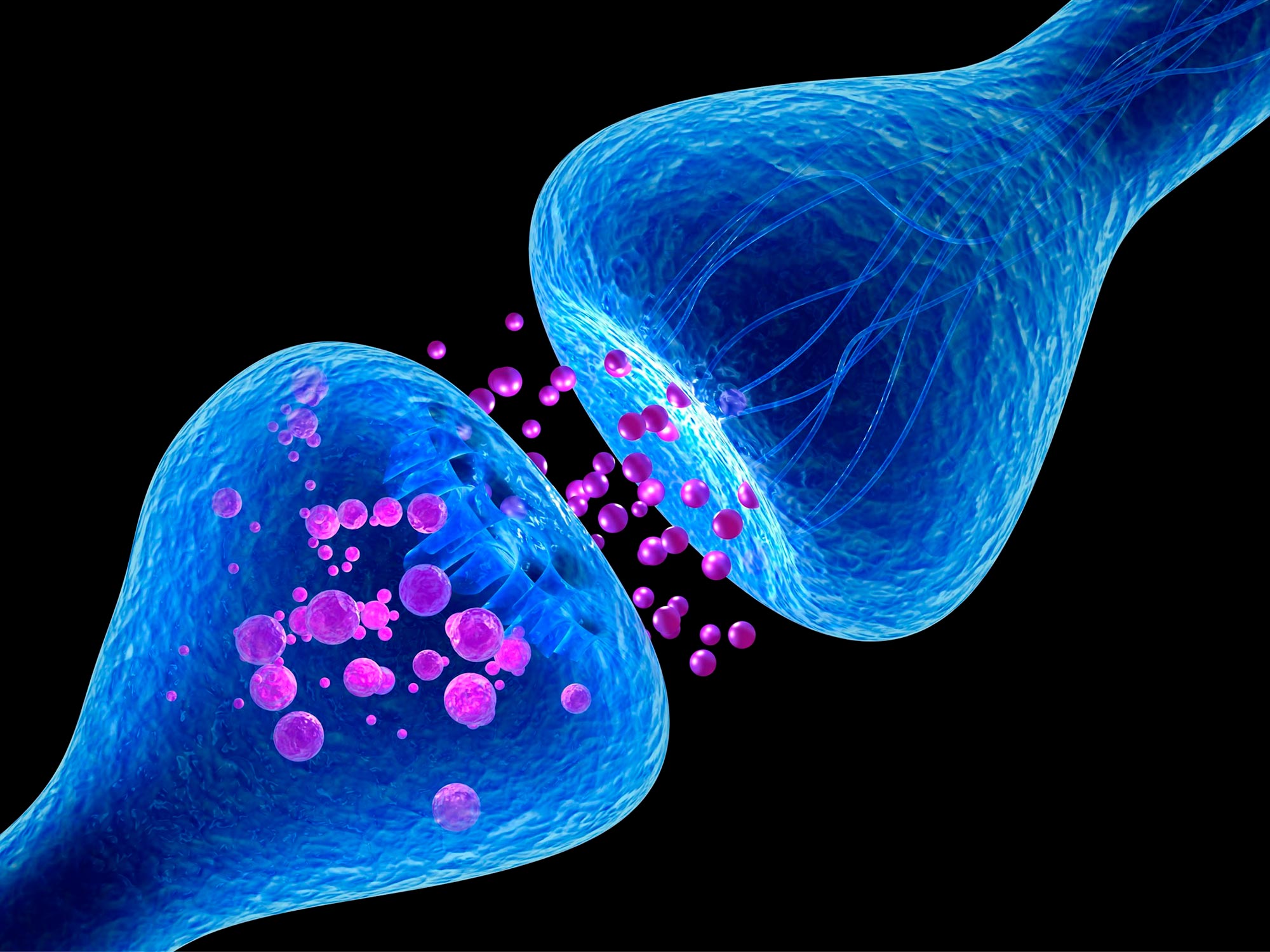 Neurons Pervasive Developmental Disorder View Of Autism Spectrum